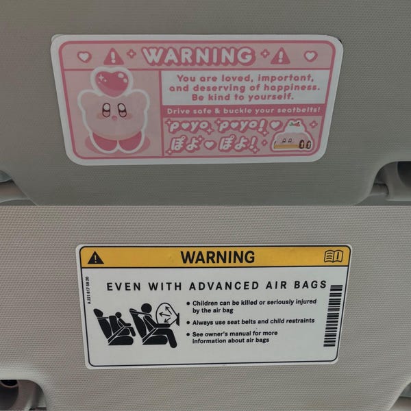 Affirmation Cute Car Warning Sticker | Car Decal, Airbag Label, Pink ...