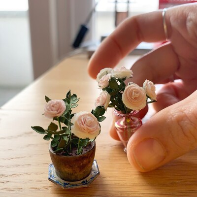 Kit Rose antique Rose Dollhouse Miniature Garden Flower Shop, Scale 1: ...