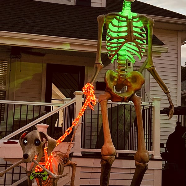 3D Printed Custom Dog Bone Name Tag for 7ft Skelly Dog Green/black - Etsy