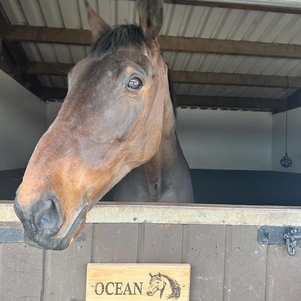 Stable Name Plate. Solid Oak Stable Sign. Equestrian Sign - Etsy UK