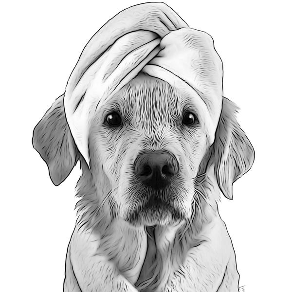 Bathroom Art, Raccoon, Spa Decor, Toilet Humor, Kids Bathroom, Bathroom ...