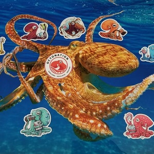 Octonation Octopus Sticker Pack 5 Stickers Same Design - Etsy