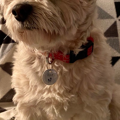 Tiny Pet Id Tag Engraved Dog Name Tag Dog Tag Small Dog Tags for Dogs ...