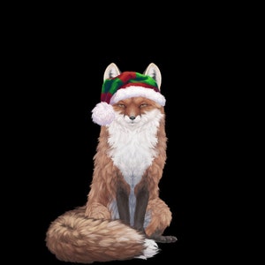 Grizzly Bear Vtuber Avatar Full Body/fully Rigged Live2d Model - Etsy