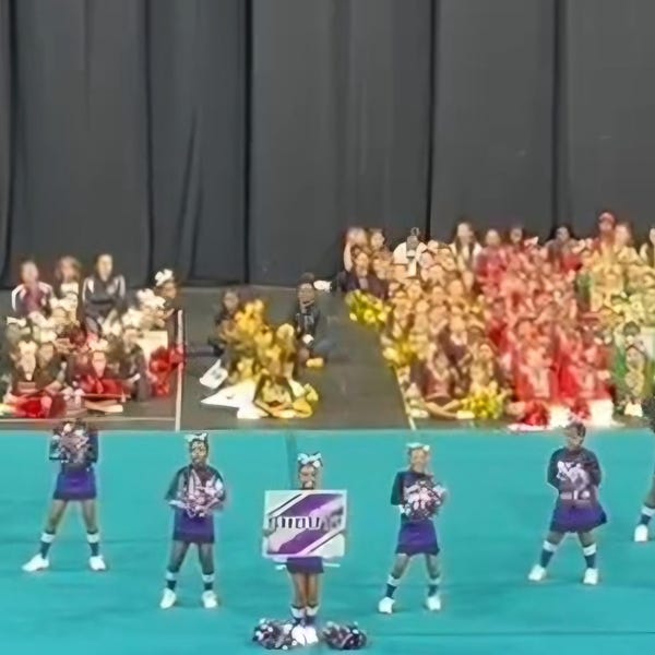 Cheerleading Spirit Stick, Spirit Stick Cheer, Team Gifts Cheer, Pep ...