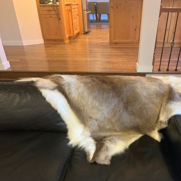 Reindeer Hide Throw & Rug - Etsy