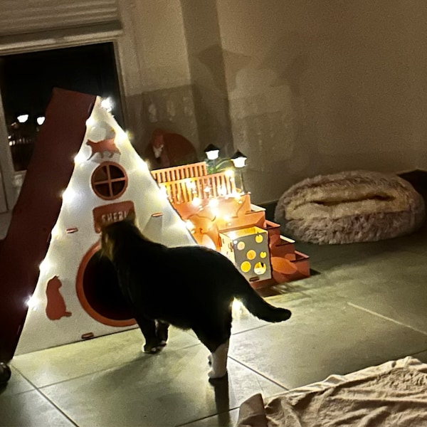 Modern Pink Cat House: Two-story Indoor Cat Castle - Etsy