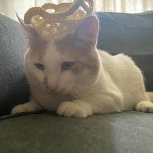 Crochet Pet Crown Pattern PDF Crochet Pattern Makes Crown / Tiara for ...