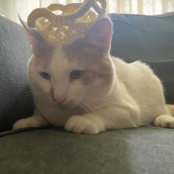 Crochet Pet Crown Pattern - PDF Crochet Pattern - Makes Crown / Tiara ...