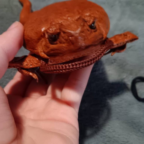 Real Cane Toad Purse Full Body Regular Size Leather Frog Bag: Fits ...