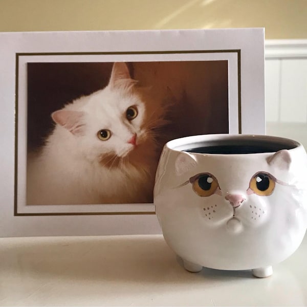 Orange Fox Jar, Fox Pottery Container, Handmade Sugar Bowl With Lid ...