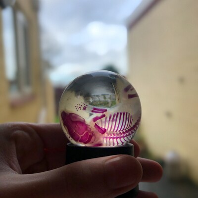 Lobotomy Shadowbox - Etsy