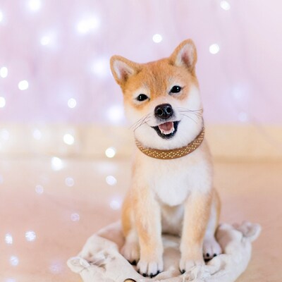 Pug. Real Size Poseable Realistic Toy. OOAK. Handmade Collectible ...