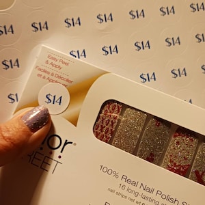 Discbound Color Street Planner for Stylists Color Street Business ...