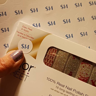 Discbound Color Street Planner for Stylists Color Street Business ...