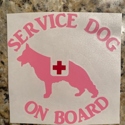 Lady Trucker TP 684 Vinyl Decal Sticker Truck Driver Semi Big - Etsy