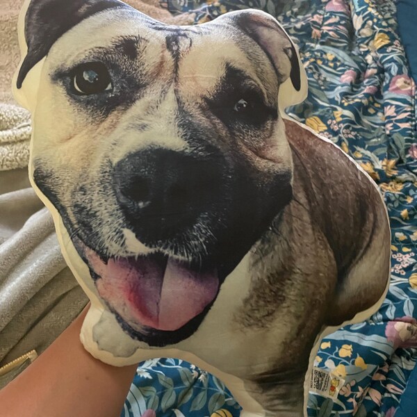 Custom Muscle Man Doll Pillow, Face Photo Pillow, Fun Birthday Gift for ...