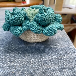 Rosette Succulent Coaster Set - Etsy