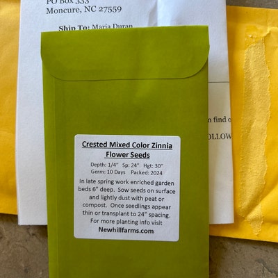 10 Italian Anemone Mistral Rosa Chiaro Flower Bulbs From Easy to Grow ...