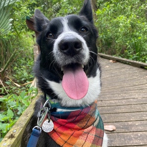 Dog Tag Camper Dog Tag Adventure Personalized Dog Tag Pet - Etsy