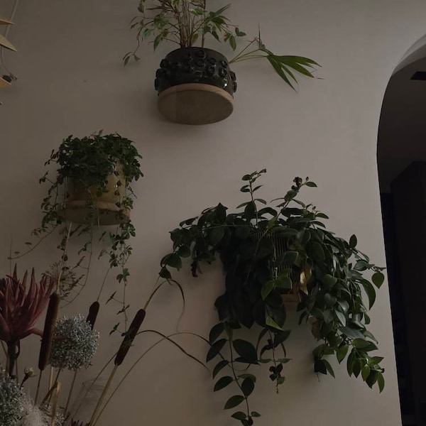 Dowel Peg Rail With Straight Edge by TOMAZIN | Oak Hook Board, Coat Hat ...