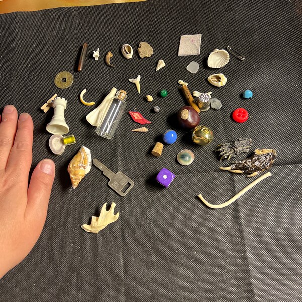 Throwing the Bones Book & Kit 129 Pgs and 15 Pc Learn to Throw the Bones Kit, Throwing Bones Set ...