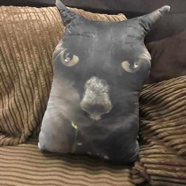 Personalized Pet Pillows, Cat/dog Pillows, Custom 3D Pet Pillows, Ugly ...