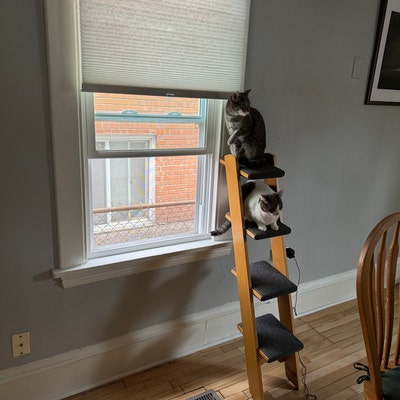 Cat Ladder 3 Step Cherry Hardwood Handcrafted High-quality Ladder for ...