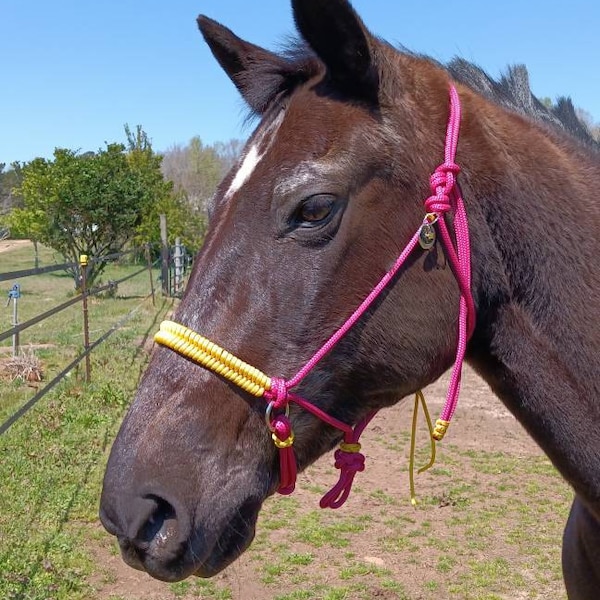Soft Rope Halter/ Bitless Bridle With Woven Paracord Noseband ...