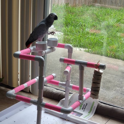 3/4 PVC Travel Bath & Shower Parrot Perch FREE - Etsy