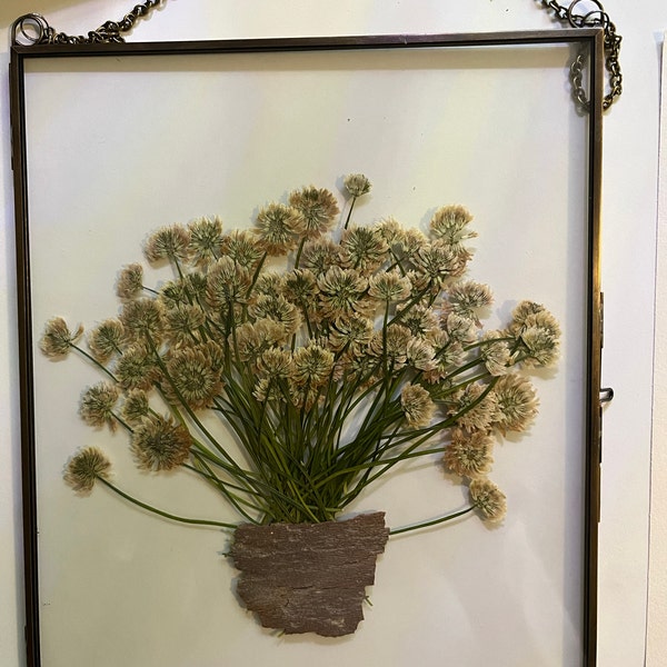 Set of 2 Double Glass Frame for Pressed Flowers, Photos and Artwork ...