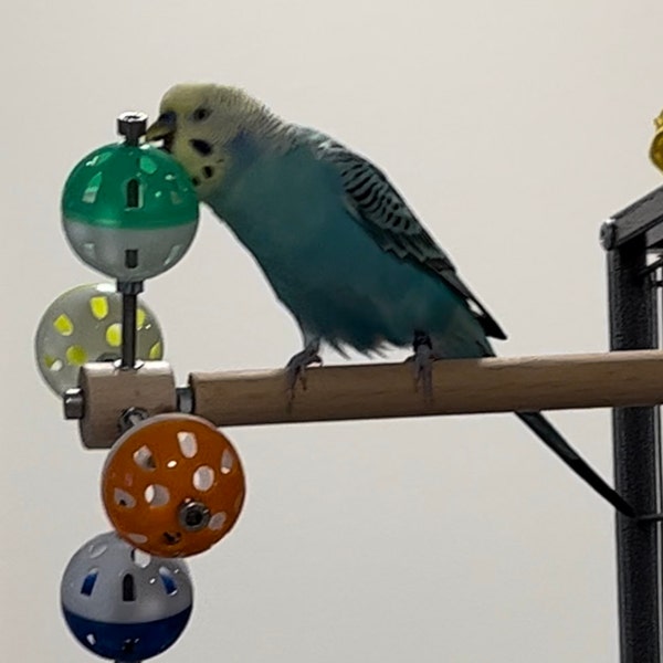 Perch Toy With Rotating Balls for Budgies, Budgerigars, Parakeets ...