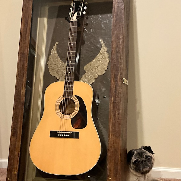 Guitar Display Frame or Case "wings" G Frames - Etsy