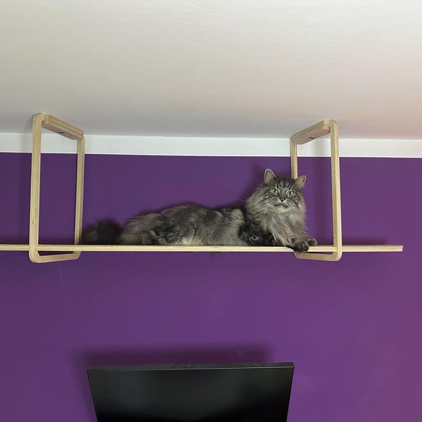 Plywood Ceiling Cat Bridge: Modern Cat Shelves Set - Etsy
