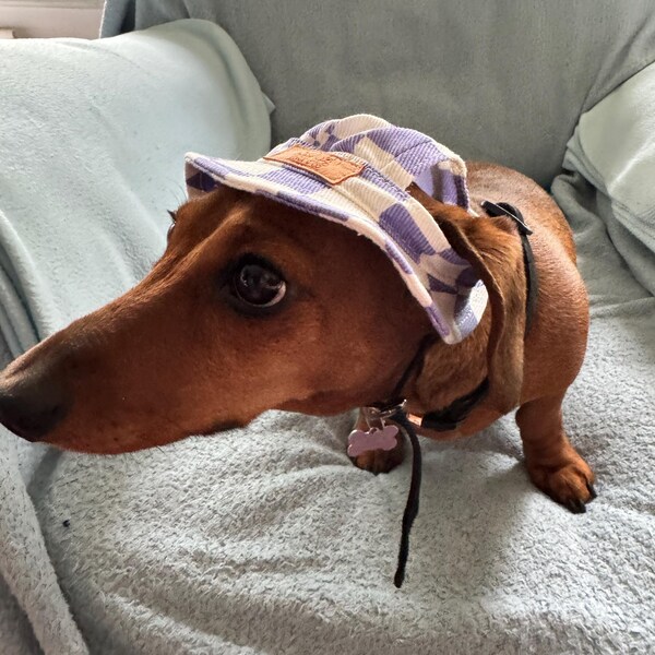 Corduroy Dog Hat | Bucket Hat | Puppy Hat | Dog Visor | Sun Protection ...