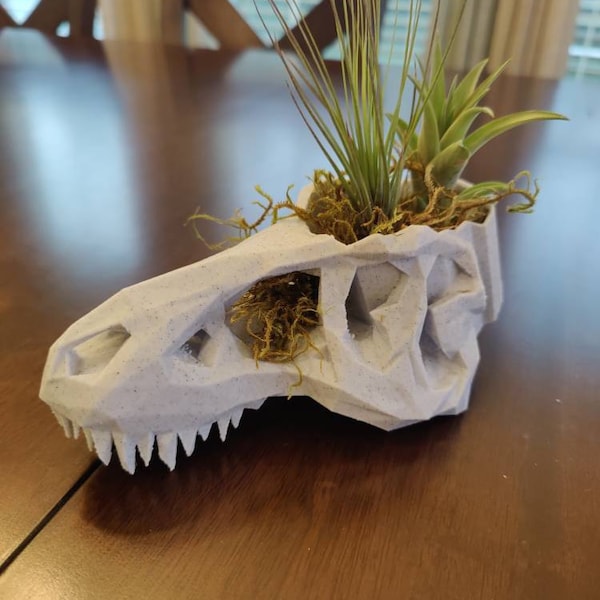 T-bone the T-rex Skull Planter With Plants - THE ORIGINAL! - Nontoxic ...