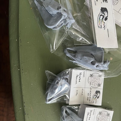 Human Skeleton HO Scale 1:87 Miniature for Horror Diorama, Dollhouse ...