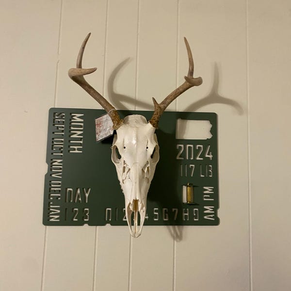 European Deer Mount Plaque - Personalized - Etsy