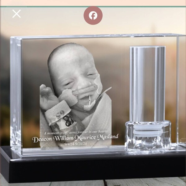 Custom Crystal Urn With 3D Picture Holds Ashes - Personalized Cremains ...