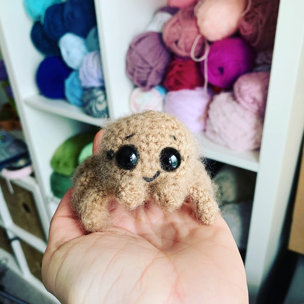 PATTERN: Jesse the Jumping Spider - Crochet Spider Pattern - Amigurumi ...