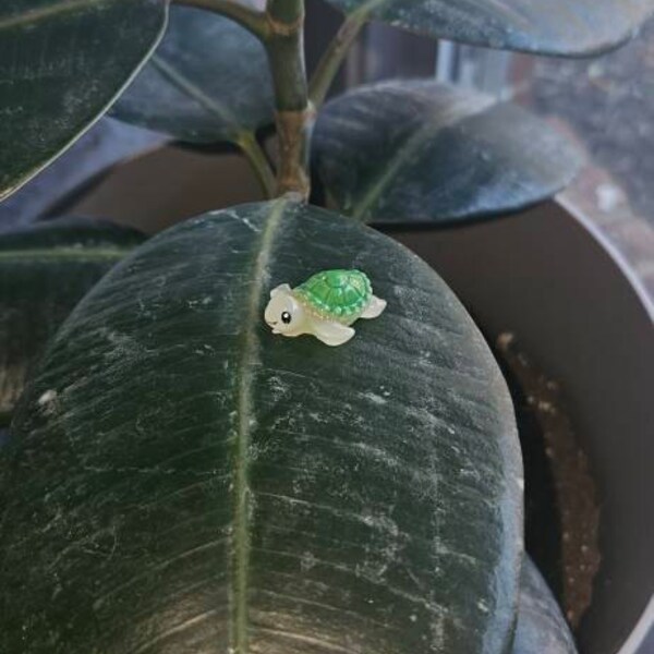 Cloud Shaped Rainbow Window Clings. Prism and Light Bending. Unique ...