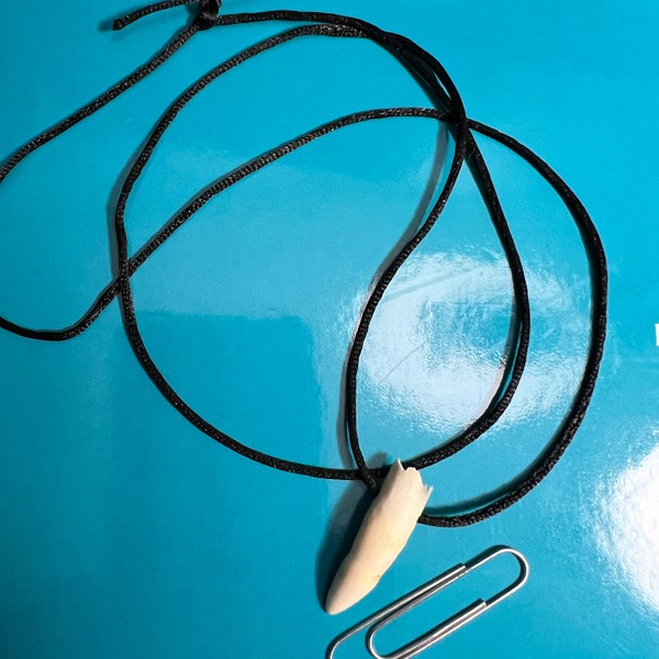 Gator Tooth Necklace regular Size - Etsy