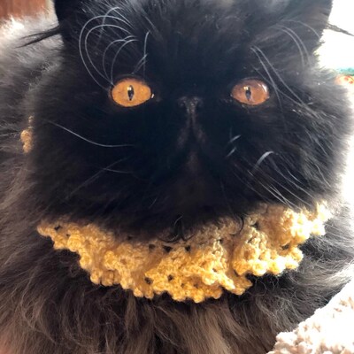 Bunny Cat Hat, Mint Bunny Hat, Rabbit Ears Cat Hat, Easter Cat Hat, Hat ...