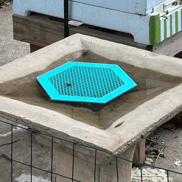 Floating Bee Island, Bee Waterer, Bee Water Station, Colorful Bee ...