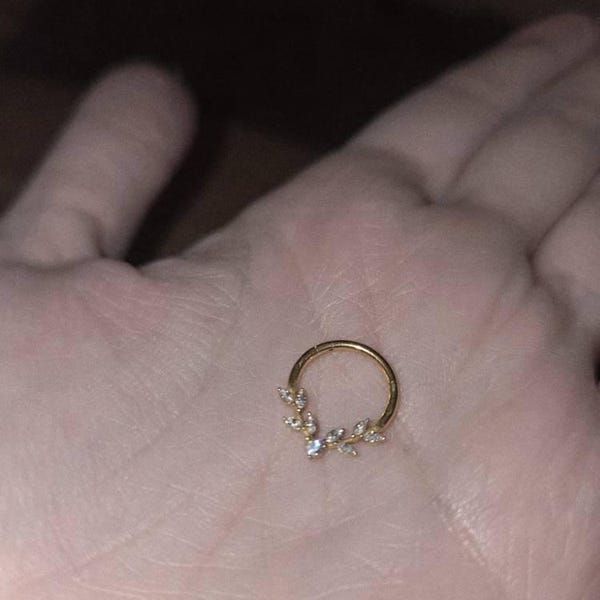 Gold Daith Jewelry Earring, Simple Titanium Minimalist Daith Jewelry ...