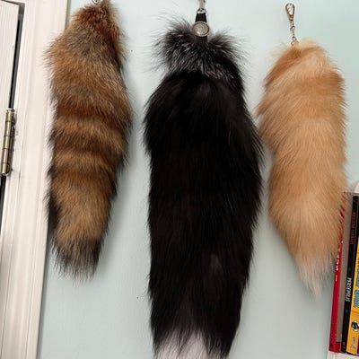 Bobcat Tail Keychain - Etsy