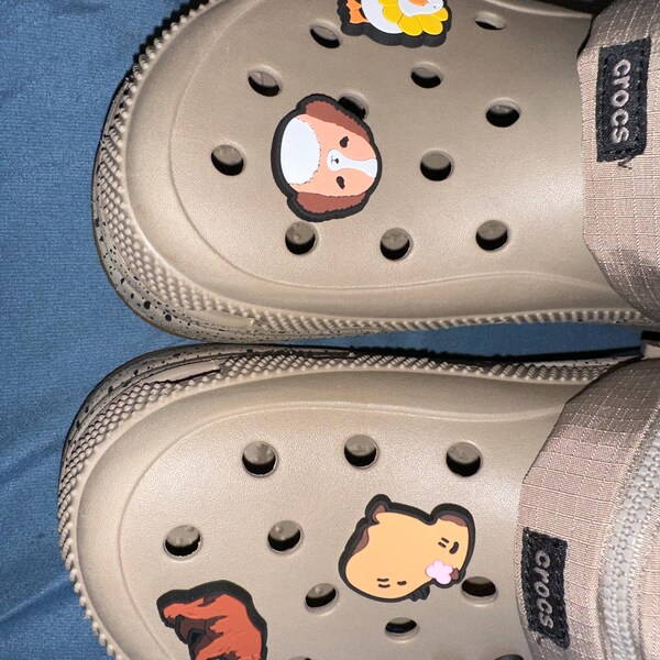 Ladybug Shoe Charms Bug 12PCS PVC Animal Clog Pins Accessories Party ...