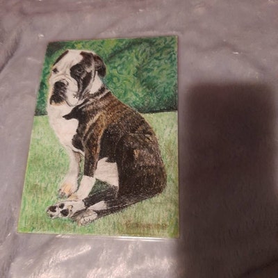 3 Samoyed White Dogs on an A3 Piece of Paper - Etsy