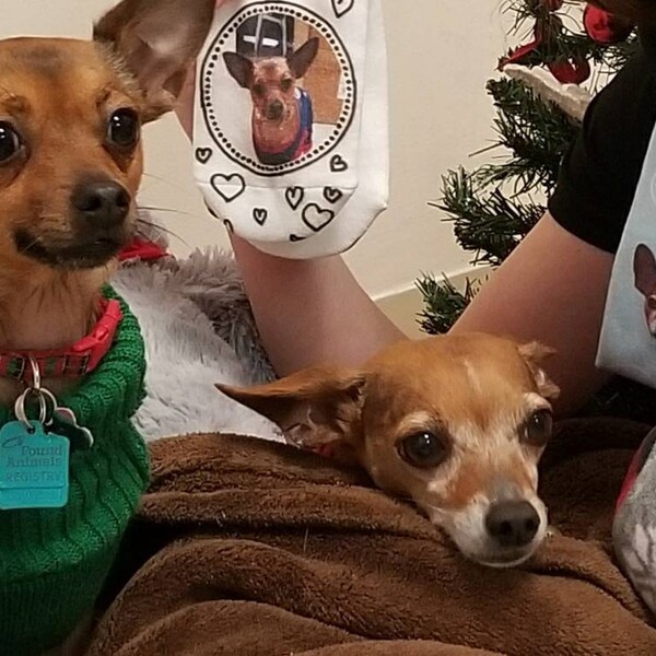 Custom Pet Photo Socks: Personalized Dog Face Gift, Cotton Blend - Etsy