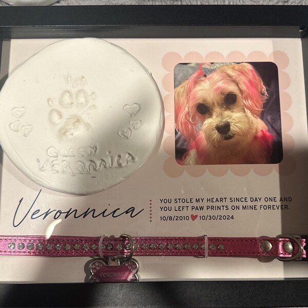 Paw Print Holder Pet Memorial, Clay Paw Print Display Shadow Box, Pet ...